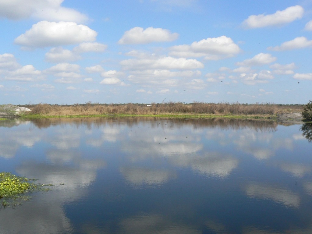 Water Stewardship | Collier Soil and Water Conservation District